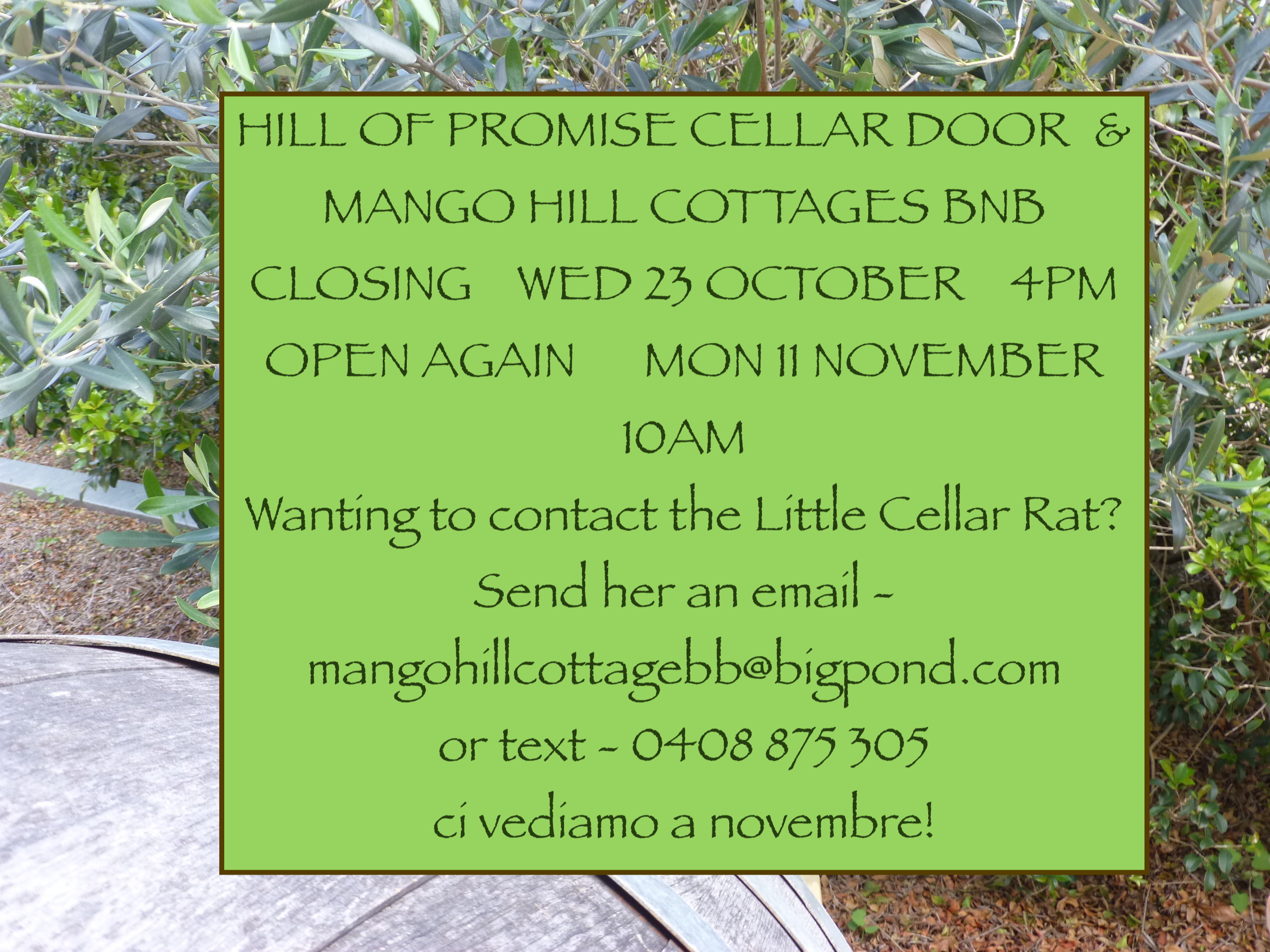 Closed - Open barrel, olive in pot -2 copy - Mango Hill Cottages & Hill ...