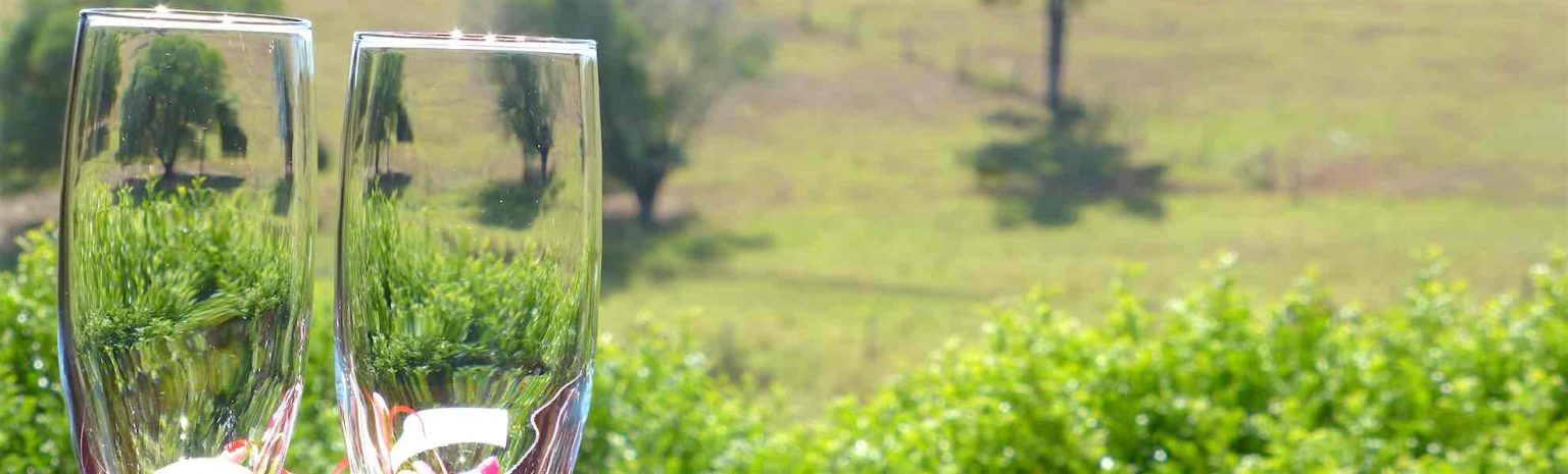 Buy Preservative Free Wines At Hill Of Promise Winery Cellar Door