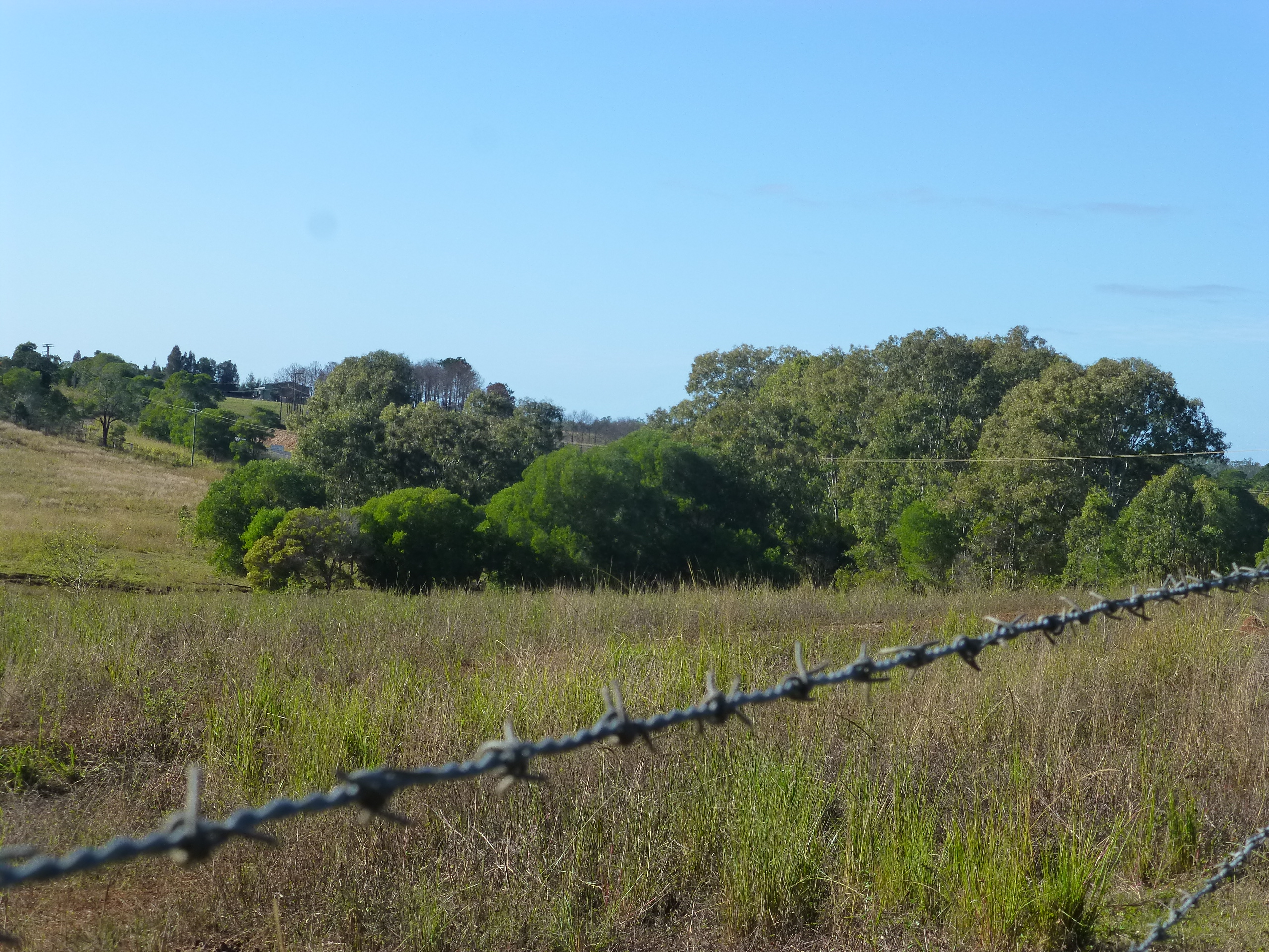 barbed wire, reedy dam, trees, blue sky - Mango Hill Cottages & Hill of ...